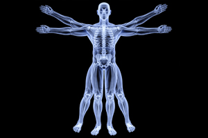 Practitioner CEU Workshops - Bowen Training Australia